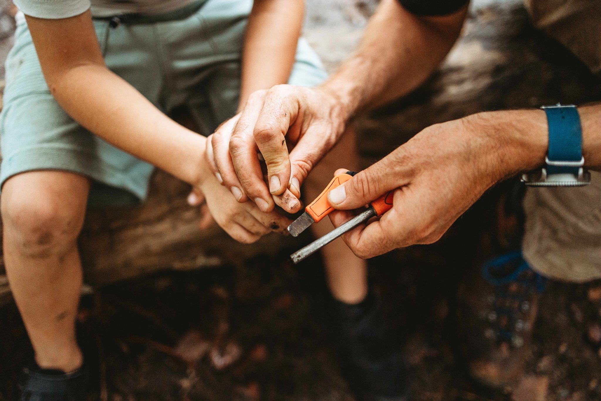 Survival Knowledge: Practical Education for a Resilient Generation ...